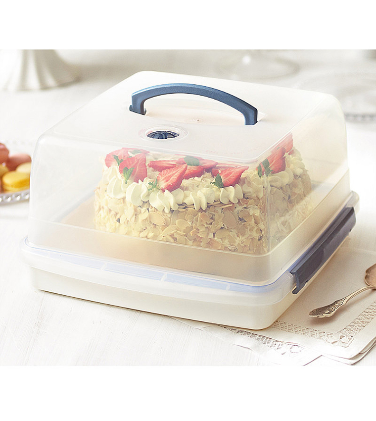 Buy Lakeland Lock & Lock Cake Store Multi In Multiple Colors ...