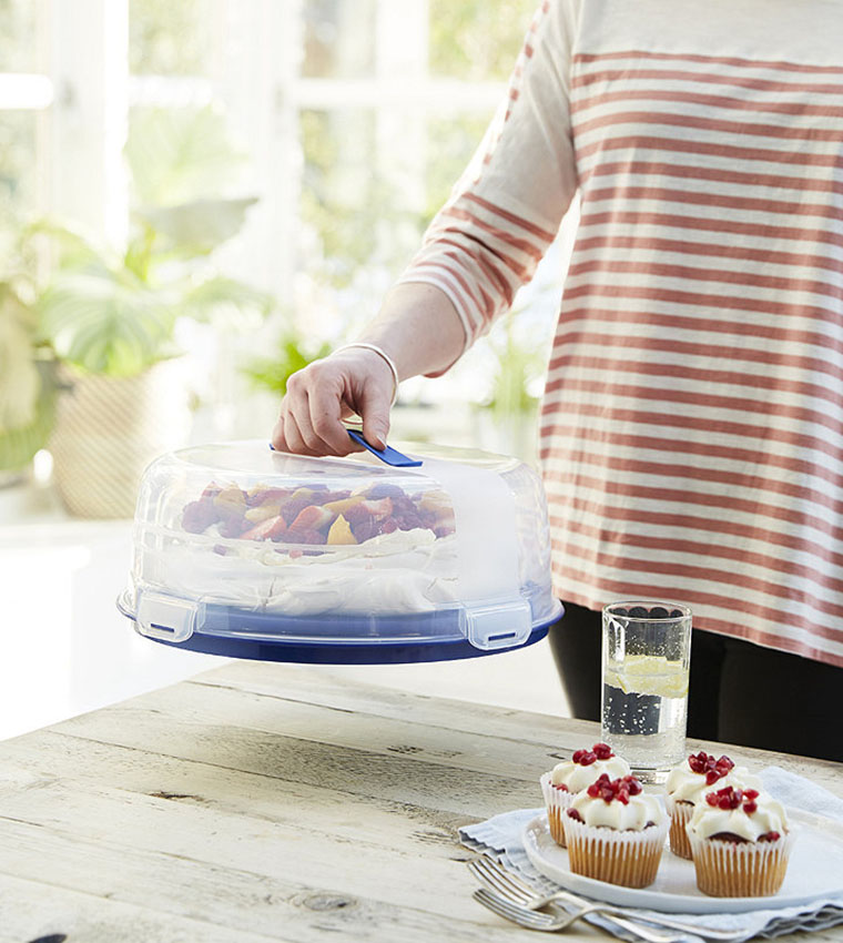 Buy Lakeland LAKELAND LARGE CAKE CADDY In Multiple Colors | 6thStreet UAE