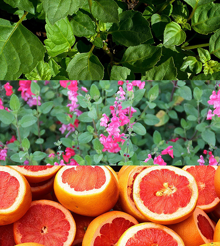 Buy Calvin Klein Calvin Klein Escape For Men Edt 100ML White In White ...