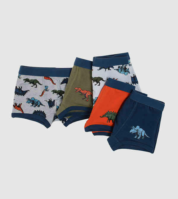 Buy R&B Kids Boys Pack Of 5 Printed Boxer Shorts In Multiple Colors ...
