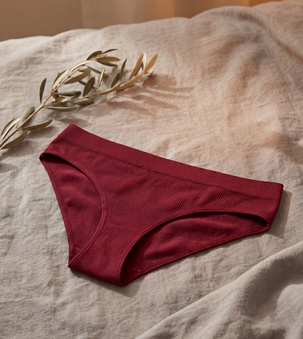 Buy LC Waikiki Ribbed Bikini Brief In Red | 6thStreet UAE