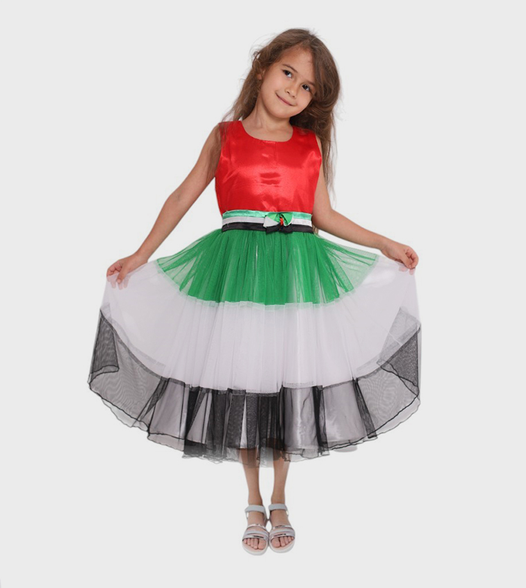 Buy Ddaniela Aisha UAE National Day Flag Dress In Multiple Colors ...