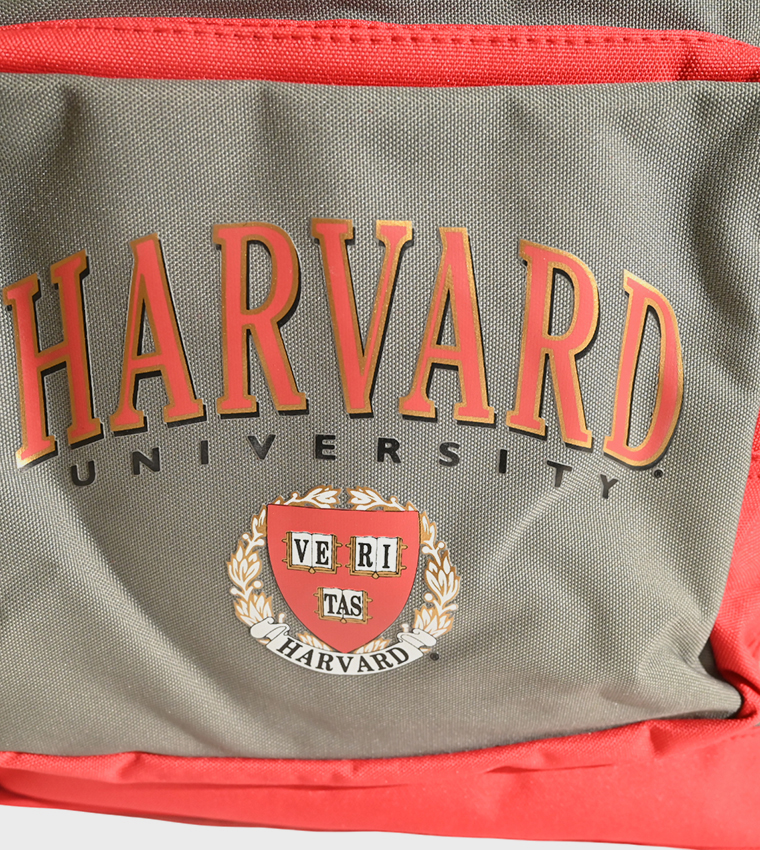 Buy Hollywood Magic Harvard University Themed 18" Backpack In Grey ...